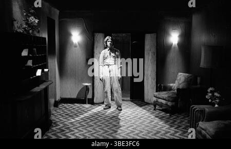 Eraserhead Year : 1977 USA Director : David Lynch Jack Fisk Stock Photo ...