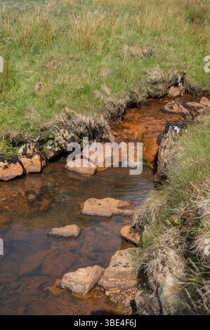 Headwaters of the Afon Clydach, a tributary of the Afon Sawdde stained ...