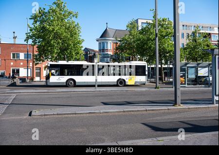 De Lijn regional bus hub at the railway station of Sint-Niklaas, East ...