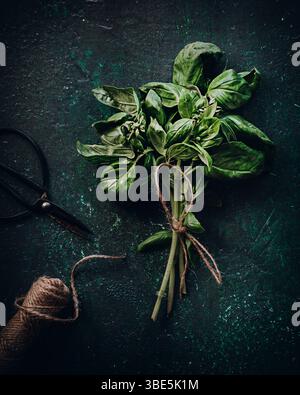 dark green basil leaves background. Full frame texture of fresh ...