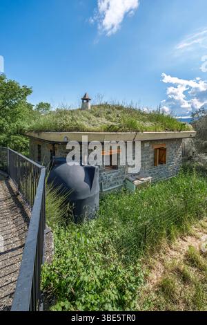 Green moss. Modern eco friendly decor made of colored stabilized moss ...