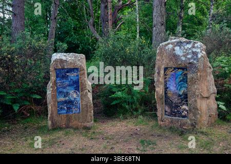 Standing Stones Quarrelwood, Elgin Stock Photo - Alamy