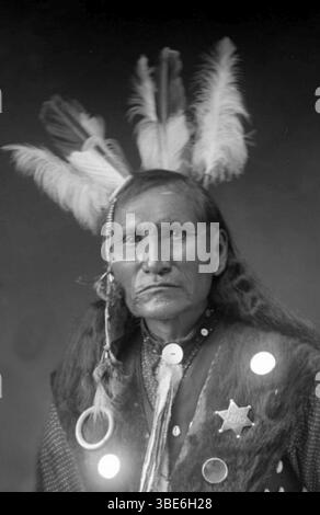 David Francis Barry - Sitting Bull and Buffaloe Bill - 1885 Stock Photo ...