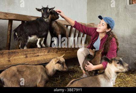 female farm worker kneeling to play with baby goats Stock Photo - Alamy