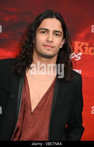 Aramis Knight attends the world premiere of "Karate Kid: Legends" at ...