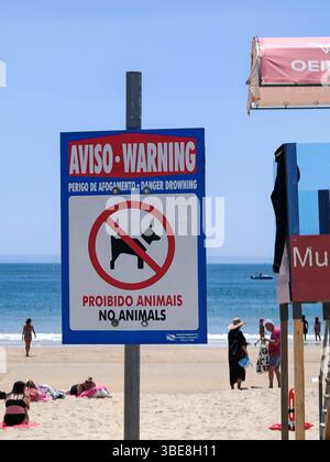 here are dogs forbidden in this aerea dogs forbidden in this aerea ...