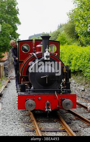 Falcon, Locomotive, No 10, Corris, Narrow Gauge, Steam Locomotive Stock ...