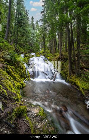 Little Zigzag Falls, Mt Hood National Forest, Oregon Stock Photo - Alamy