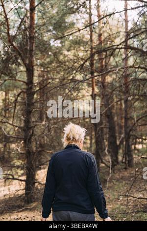 Stone pine forest on a sunny day, Aegean Region, Turkey Stock Photo - Alamy