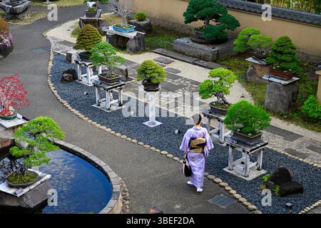The Omiya Bonsai Art Museum,Saitama, Japan,Asia Stock Photo - Alamy