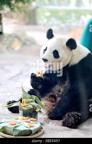 Animals enjoy food for Dragon Boat Festival at a zoo in Nantong City ...