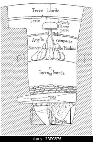A scientific illustration showing the cross section of a mushroom ...