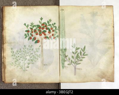 This manuscript page from the Paris Beaux-Arts collection, Masson 116 ...