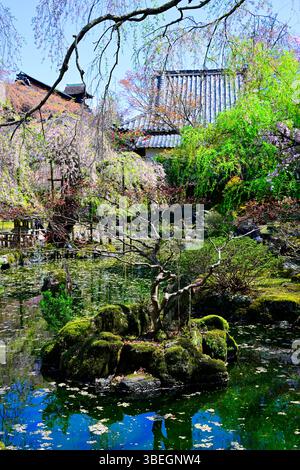 Chikurin-in buddhist temple and garden is along the border of the Naka ...