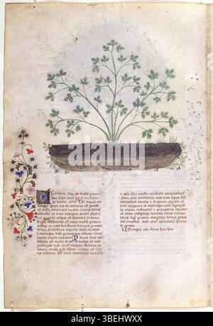 This folio from Casanatense 459, dated between 1395 and 1400, is an ...