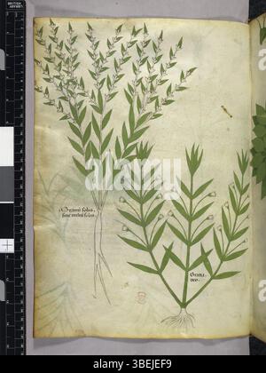 This medieval manuscript, part of the British Library's collection ...