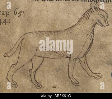 This 12th-century folio from a Bestiary illustrates a whale, providing ...