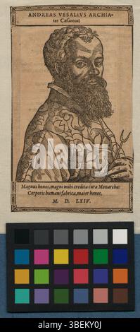 A portrait of Andreas Vesalius, the renowned 16th-century Flemish ...