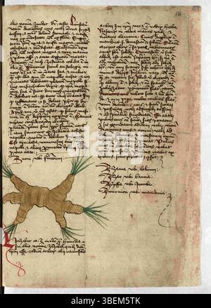 A manuscript page from Munich Cim. 79, folio 64v, dated after 1440 ...