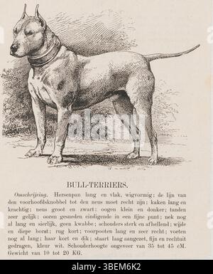 . Canis lupus familiaris . between 1700 and 1880 50 Canis lupus ...