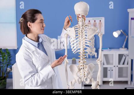 Doctor pointing at sections of human skeleton model in clinic Stock ...