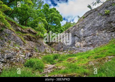 The abandoned limestone quarry near the base of Cave Dale in Castleton ...