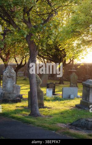 Blyth, Northumberland, UK, 21st May 2025, Sunlight through trees at ...