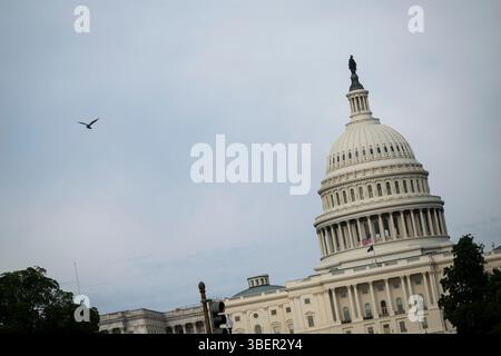 WASHINGTON, DC - MAY 29: A view of the Reflecting Pool under renovation ...