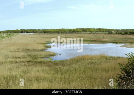 Flushing fields Schnatermann Stock Photo - Alamy