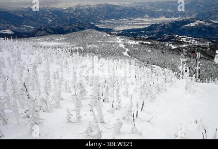 Snow covered trees atop Mount Zao at the Zao Ski Resort, Yamagata ...