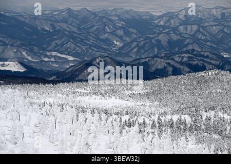 Snow covered trees atop Mount Zao at the Zao Ski Resort, Yamagata ...