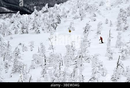 Snow covered trees atop Mount Zao at the Zao Ski Resort, Yamagata ...