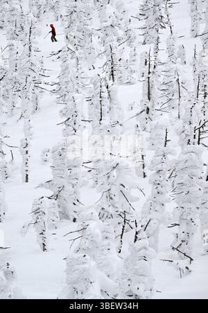 Trees on Mount Zao covered in frost Stock Photo - Alamy