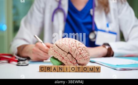 A skilled medical professional reviews a brain model while discussing ...