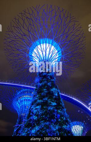 Illuminated Supertrees vertical gardens at night in Gardens By The Bay ...