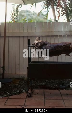 Roast meat over fire Stock Photo - Alamy