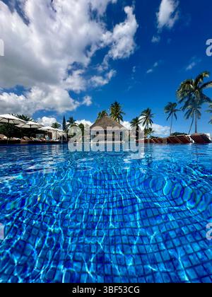 Sea life and coral at Honeymoon Beach in the Pango peninsula on the ...