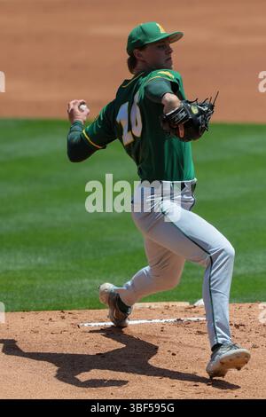 May 30, 2025: North Dakota State designated hitter Blake Timmons (2 ...