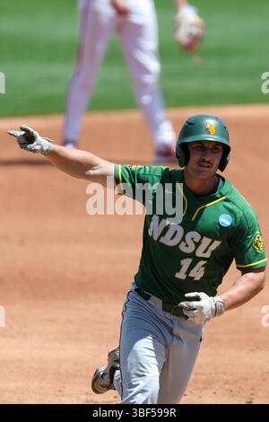 May 30, 2025: North Dakota State infielder Jake Schaffner (4) looks at ...