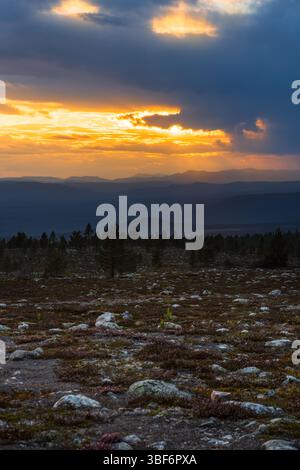 A breathtaking golden sunrise or sunset casts long shadows across a ...