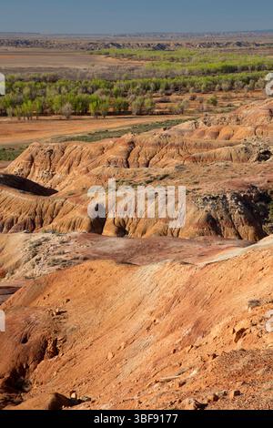 Green River bluff badlands, Ouray National Wildlife Refuge, Utah Stock ...