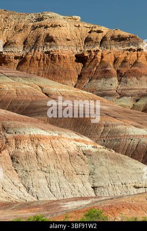 Green River bluff badlands, Ouray National Wildlife Refuge, Utah Stock ...