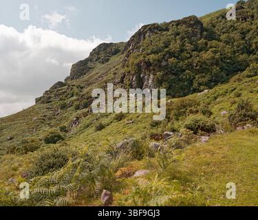 A rocky formation covered by lush green trees on a sunny day Stock ...