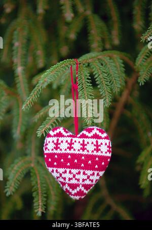 Knitted love heart on tree branch covered with snow in winter forest ...