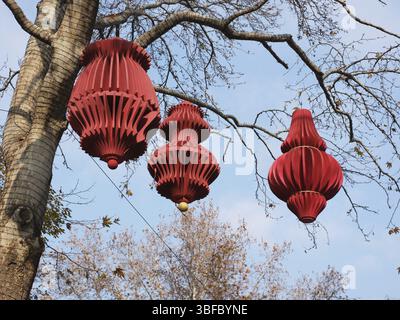 Red lanterns hanging on trees created the new year vibes in Shenyang ...