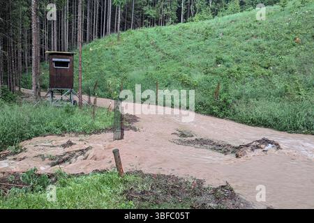 Blaustein, Germany. 31st May, 2025. Surface water runs down a forest ...