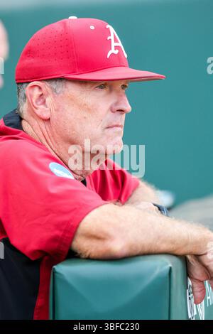 May 1, 2025: Razorback Head Coach Dave Van Horn looks up into the ...