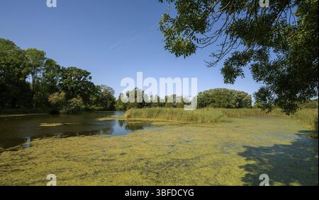 WWF nature reserve Marchegg ( also nature reserve Lower Marchauen ...