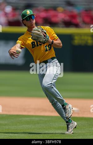 June 1, 2025: Bison infielder Tommy Simon (19) leans over to field a ...