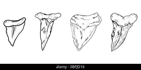 Shark tooth sketch tattoo, megalodon line doodle sharp silhouette. Jaw ...